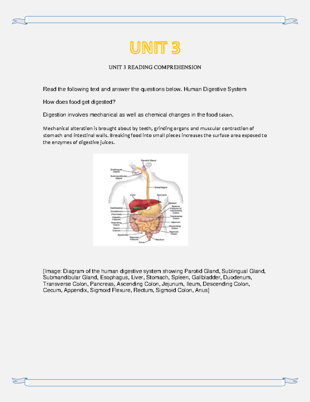 UNIT 3 - DIGESTIVE SYSTEM READING COMPREHENSION EXERCISES - Studocu