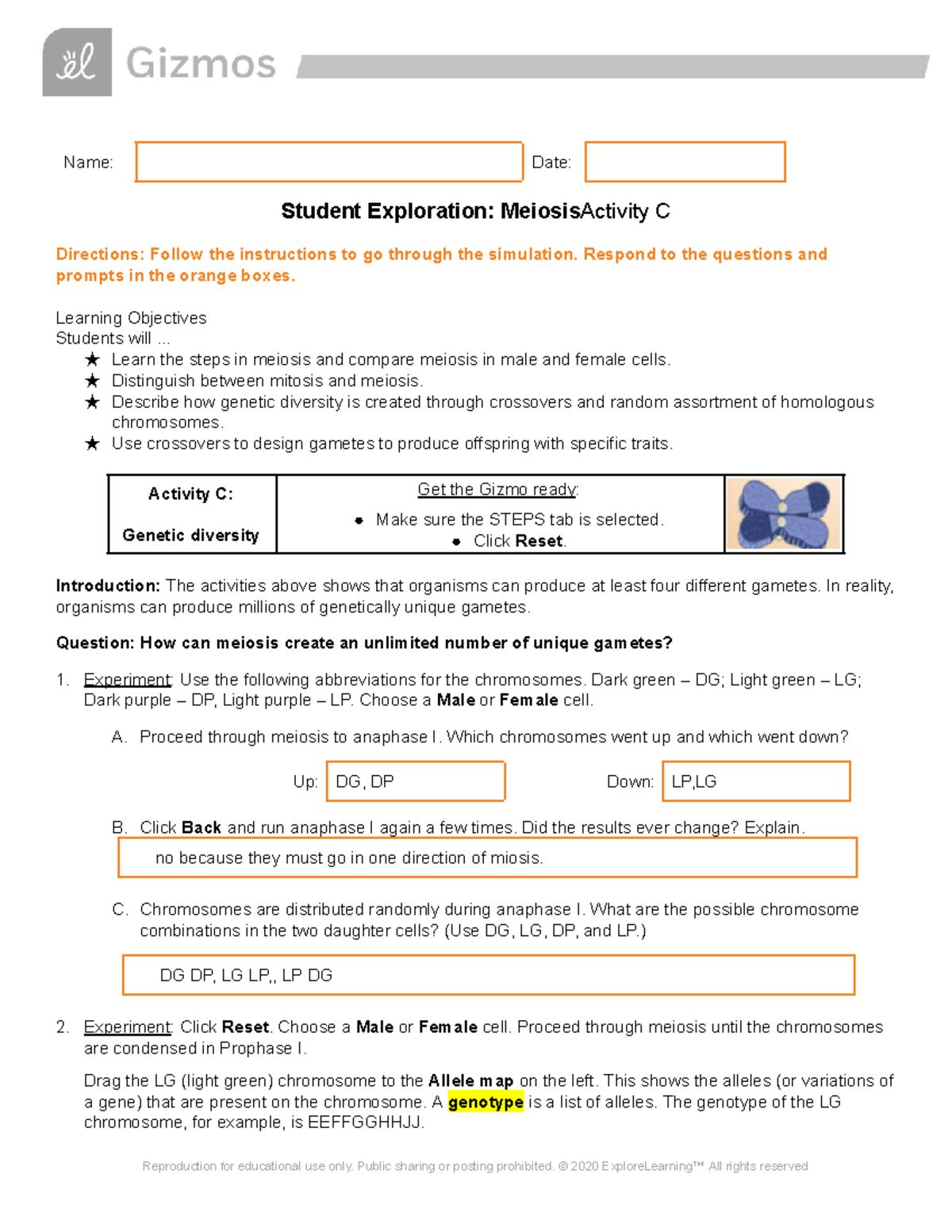 Meiosis Gizmo Activity C: Exploring Genetic Diversity and Gametes - Studocu