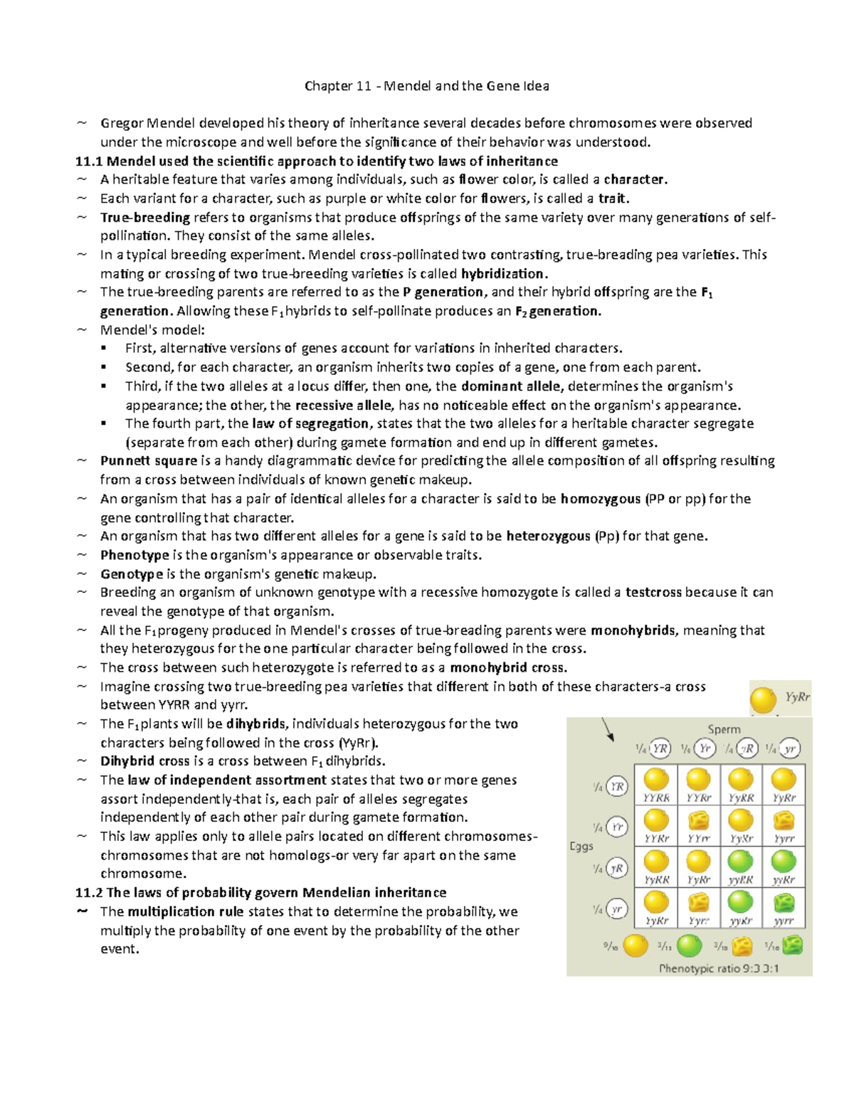 Chapter 11 Notes: Mendelian Genetics and Inheritance Patterns - Studocu