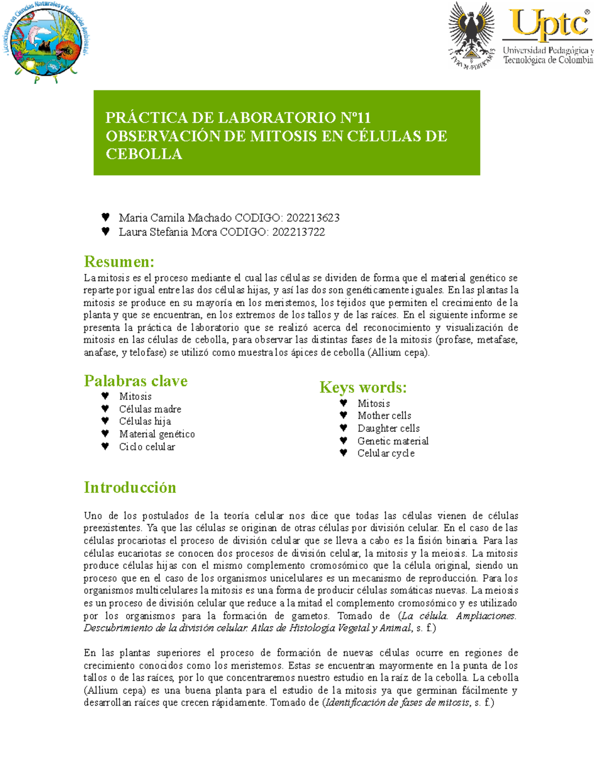 Práctica de Laboratorio Nº11: Observación de Mitosis en Células de ...