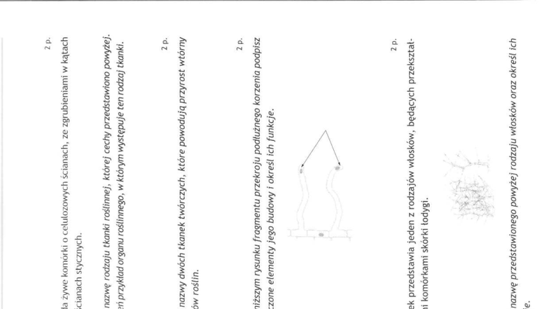 Final Exam Notes for Course Code CIF - Studocu