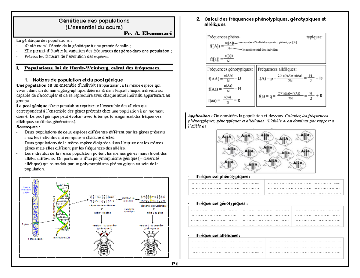 3genetique des populations exercices 1 - Génétique des populations (L ...