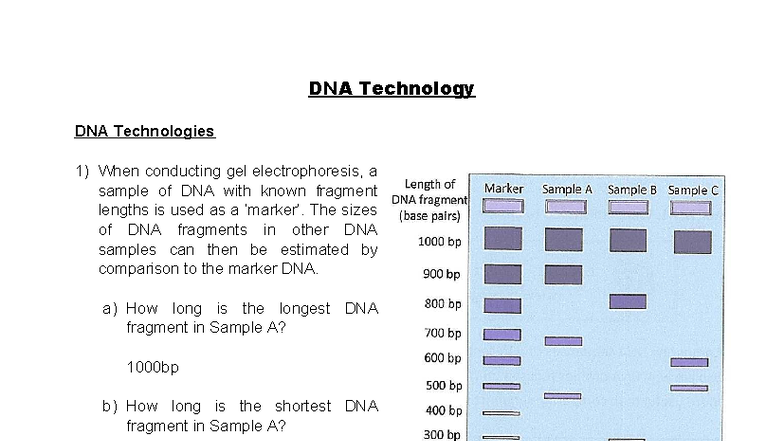 DNA Technology - Worksheet for Biology Module 5 - Studocu