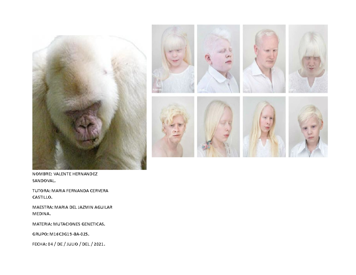 Hernandez Sandoval Valente M16S2AI4 - NOMBRE: VALENTE HERNANDEZ ...