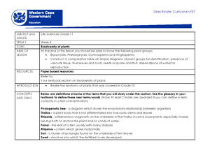 B.Ed (FET) Curriculum - Bachelor of Education (Senior and Further ...