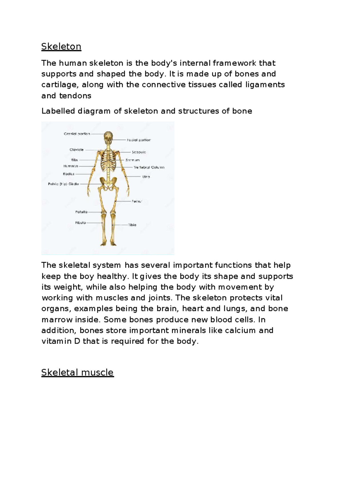 Disorders of the Musculoskeletal System: Overview and Treatments - Studocu