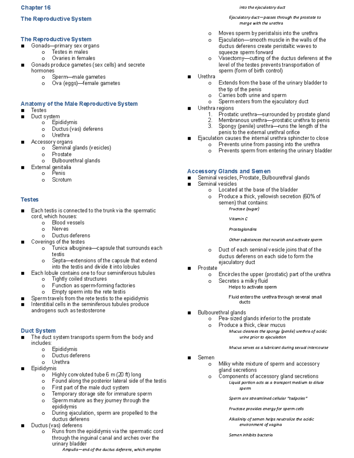 CHAP16 Reproductive System - Chapter 16 The Reproductive System The ...