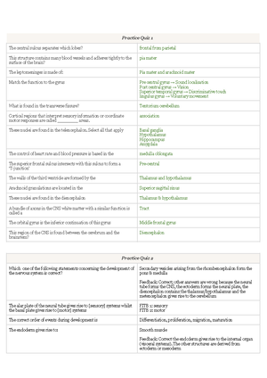 [Solved] Describe how to elicit a Babinski response and explain its ...