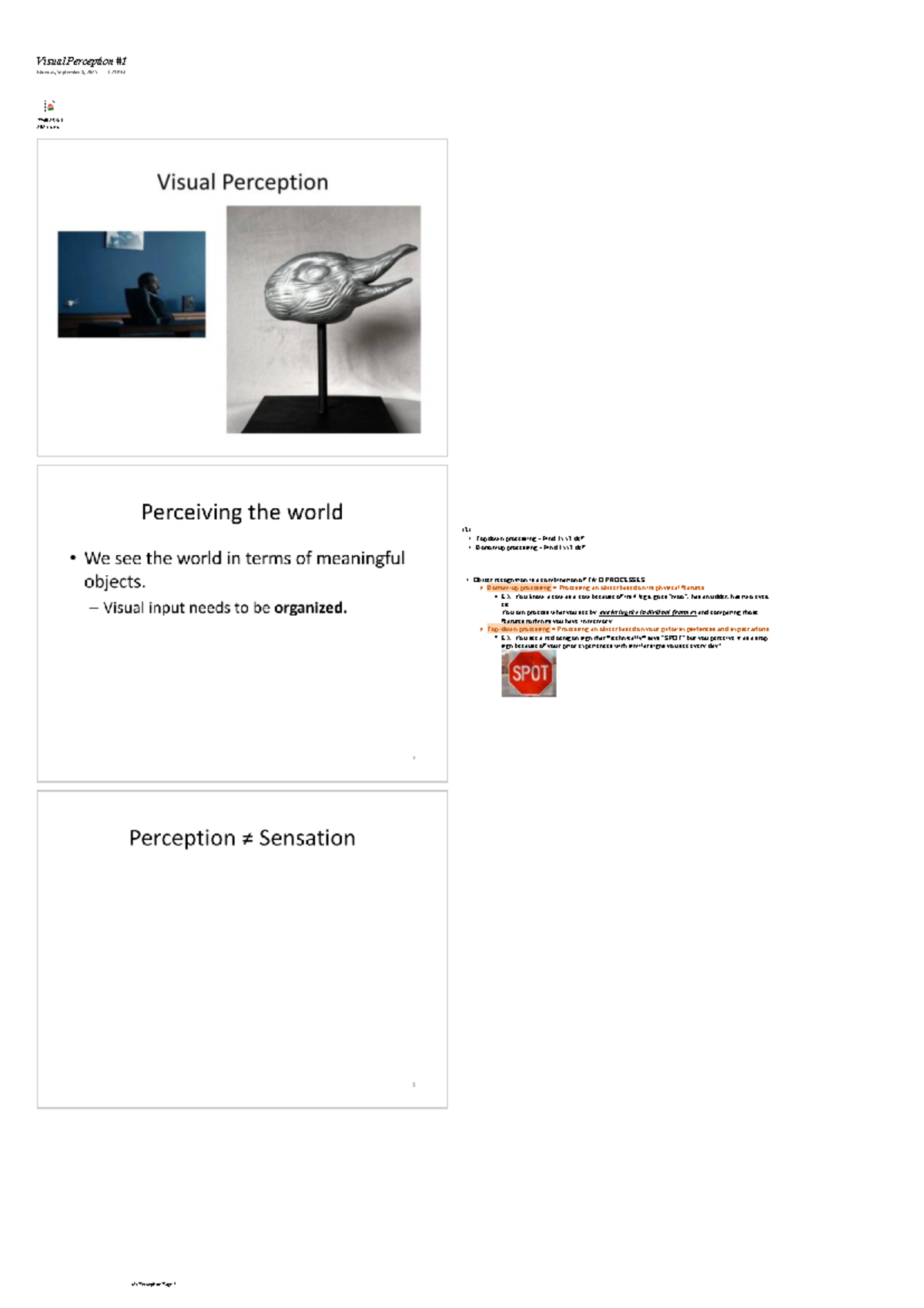 Visual Perception Concepts and Gestalt Principles (PNB2XA3, 2025 Lec) - Studocu