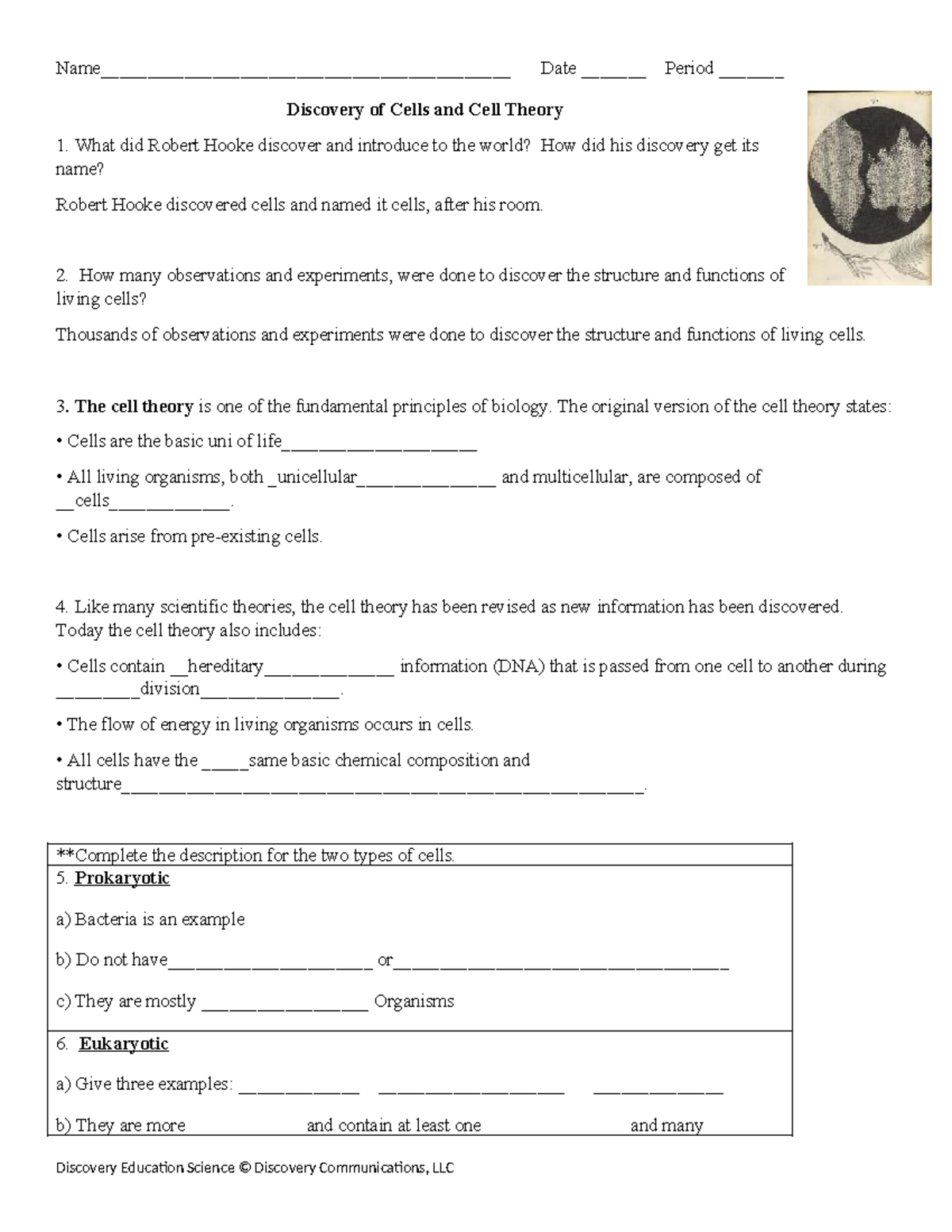 Discovery of Cells and Cell Theory: Key Concepts and Insights - Studocu