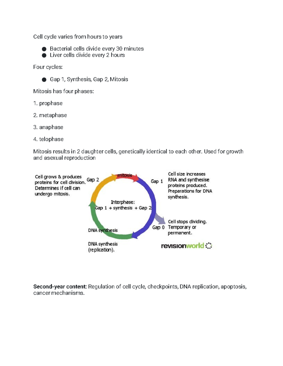 Mitosis - Cell Cycle - Cell cycle varies from hours to years Bacterial ...