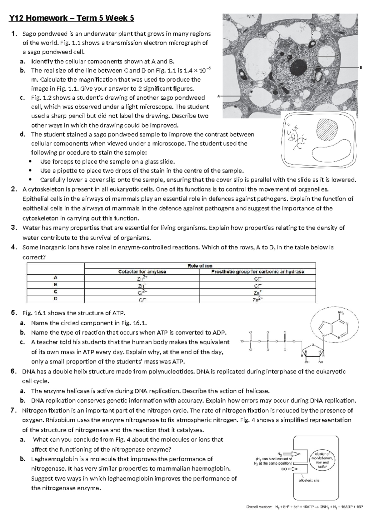 Y12 Biology Homework: Term 5 Week 5 - Sago Pondweed & Cellular ...