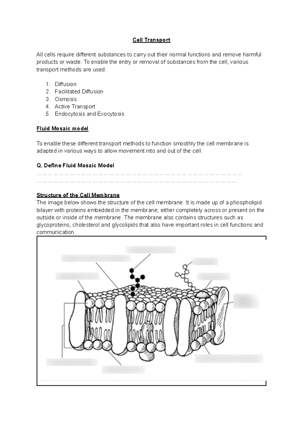 Cell Transport (Biology 101) Student Booklet on Membrane Functions ...