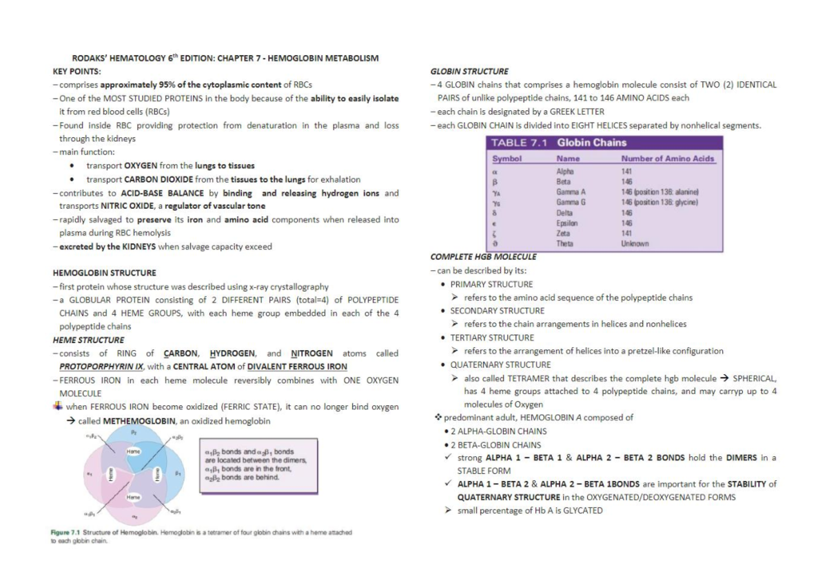 HEMATOLOGY 6th ED: CH7 HEMOGLOBIN METABOLISM KEY POINTS & BIOSYNTHESIS ...