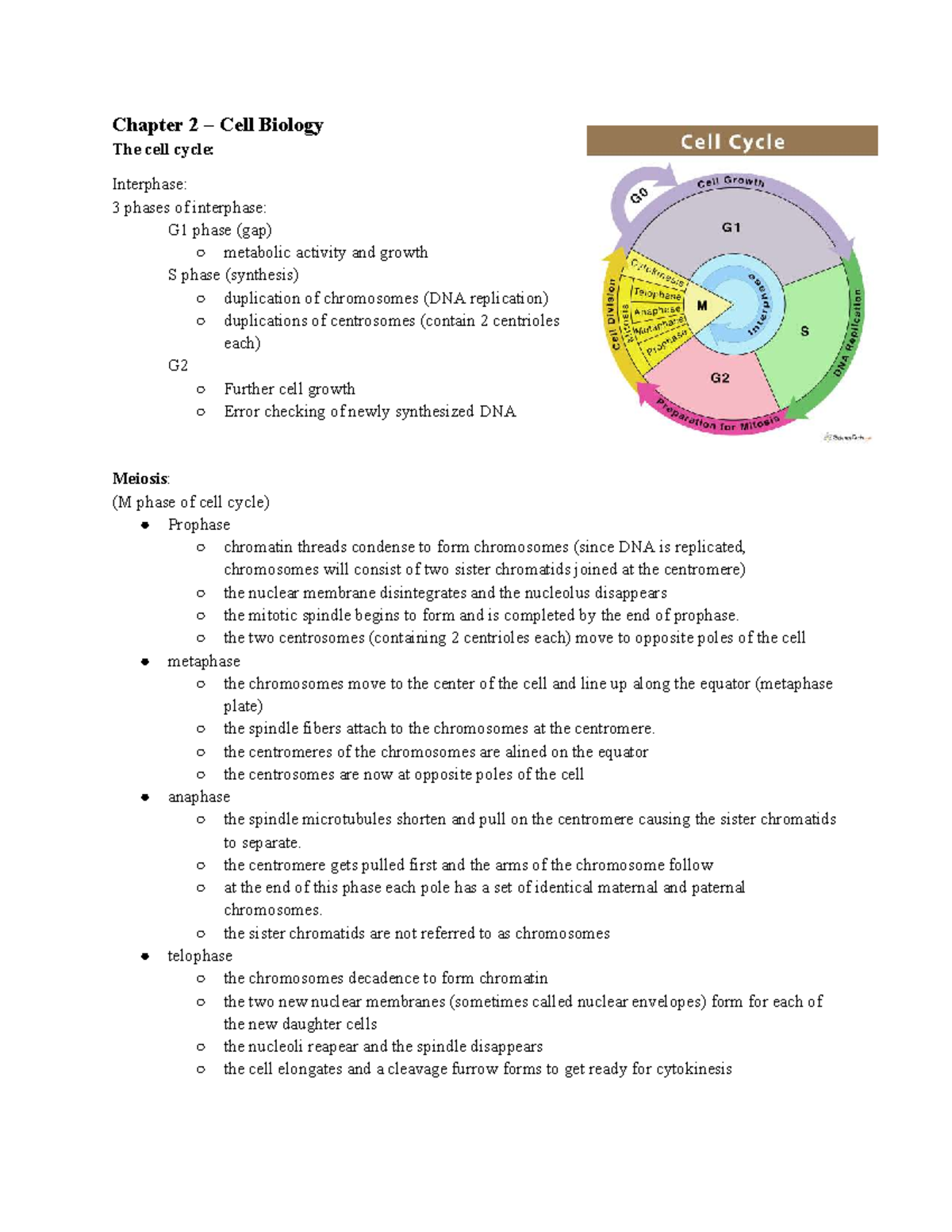 BIO 2 Cell Biology: The Cell Cycle, Meiosis, and DNA Functions Notes ...