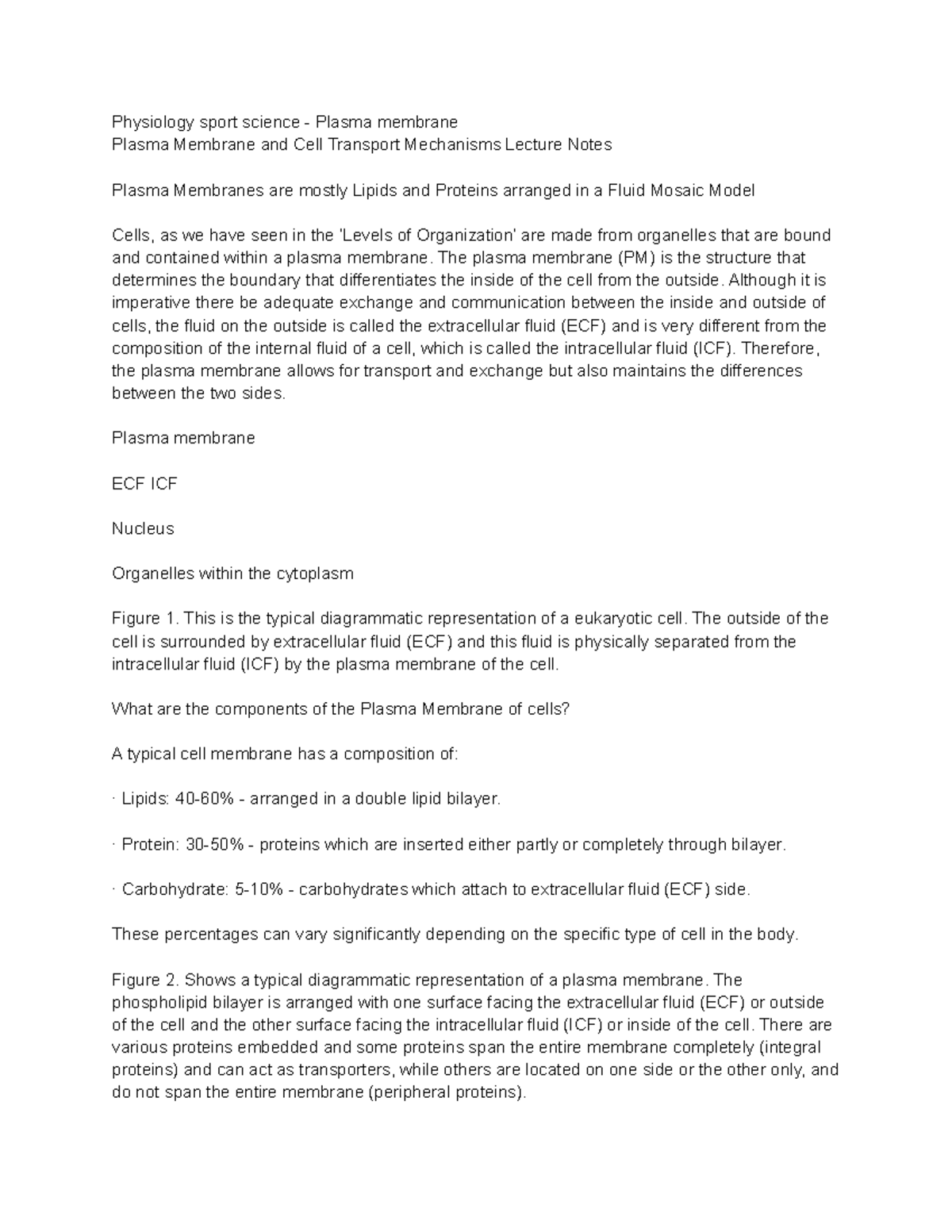 Physiology sport science - Plasma membrane - The plasma meme made from ...