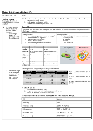 SALT Numeracy Guide: Drawing Effective Line Graphs - Studocu