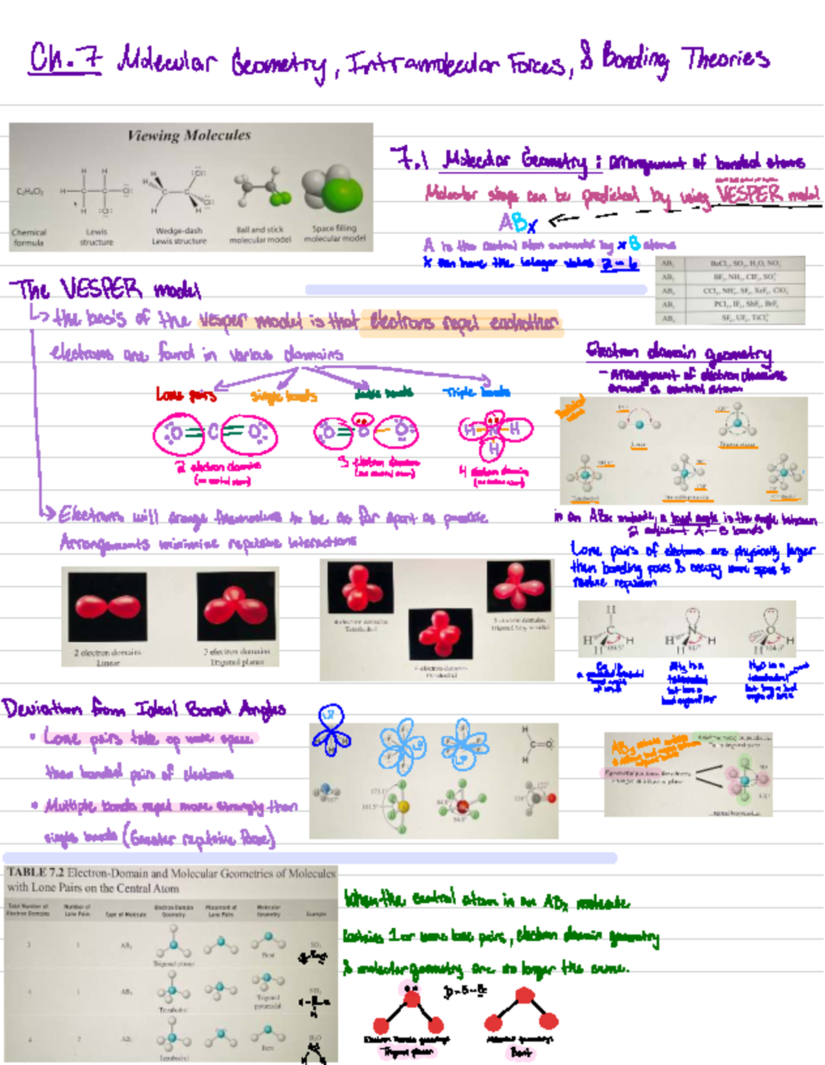 Chem 101: Molecular Geometry & Intermolecular Forces Notes - Studocu