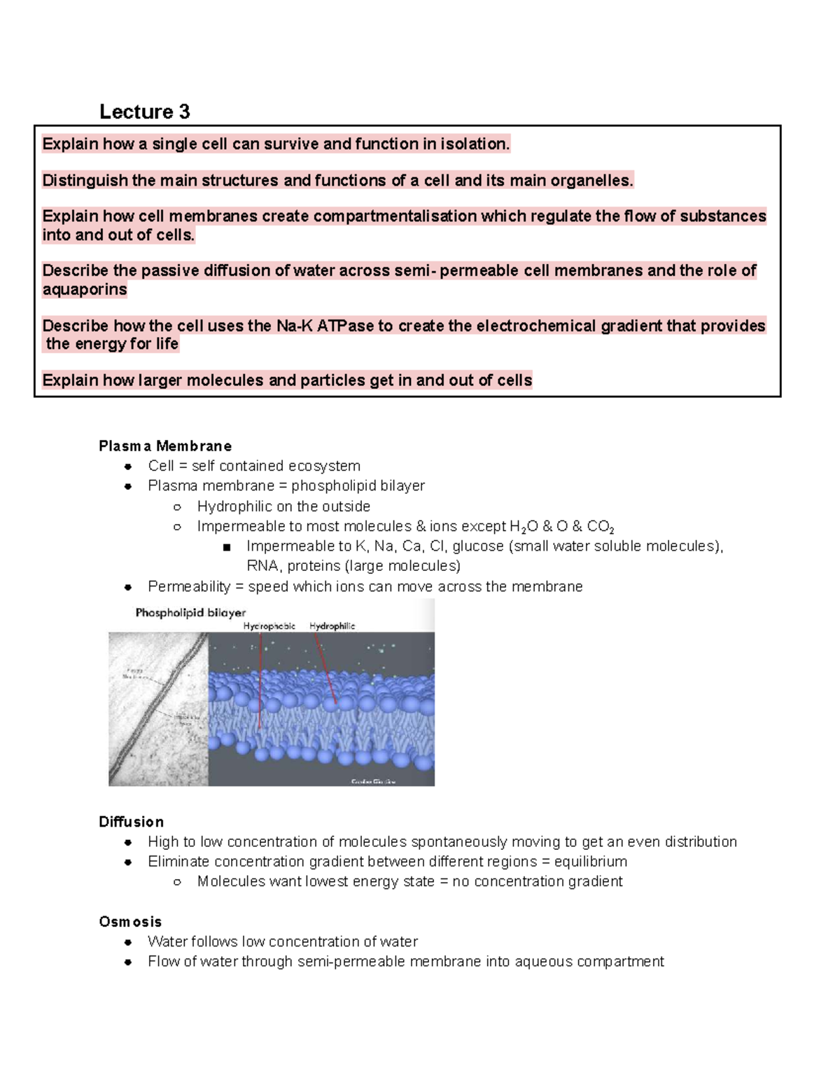 L3W2S1 Lecture: Control of Cellular Environment & Membrane Functions ...