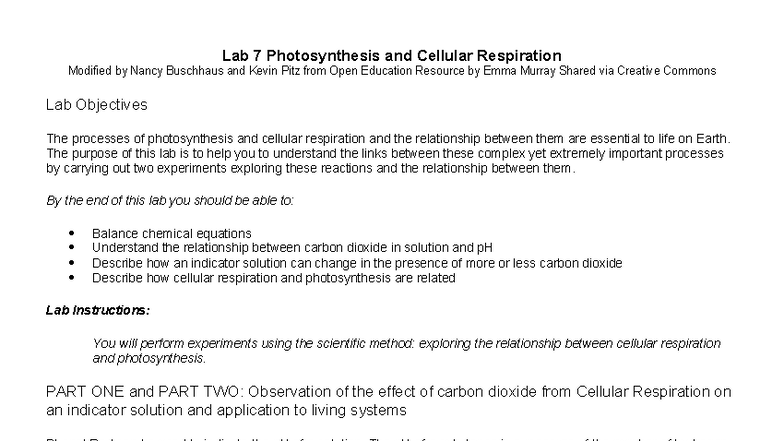 Lab 7: Exploring Photosynthesis & Cellular Respiration Experiments ...