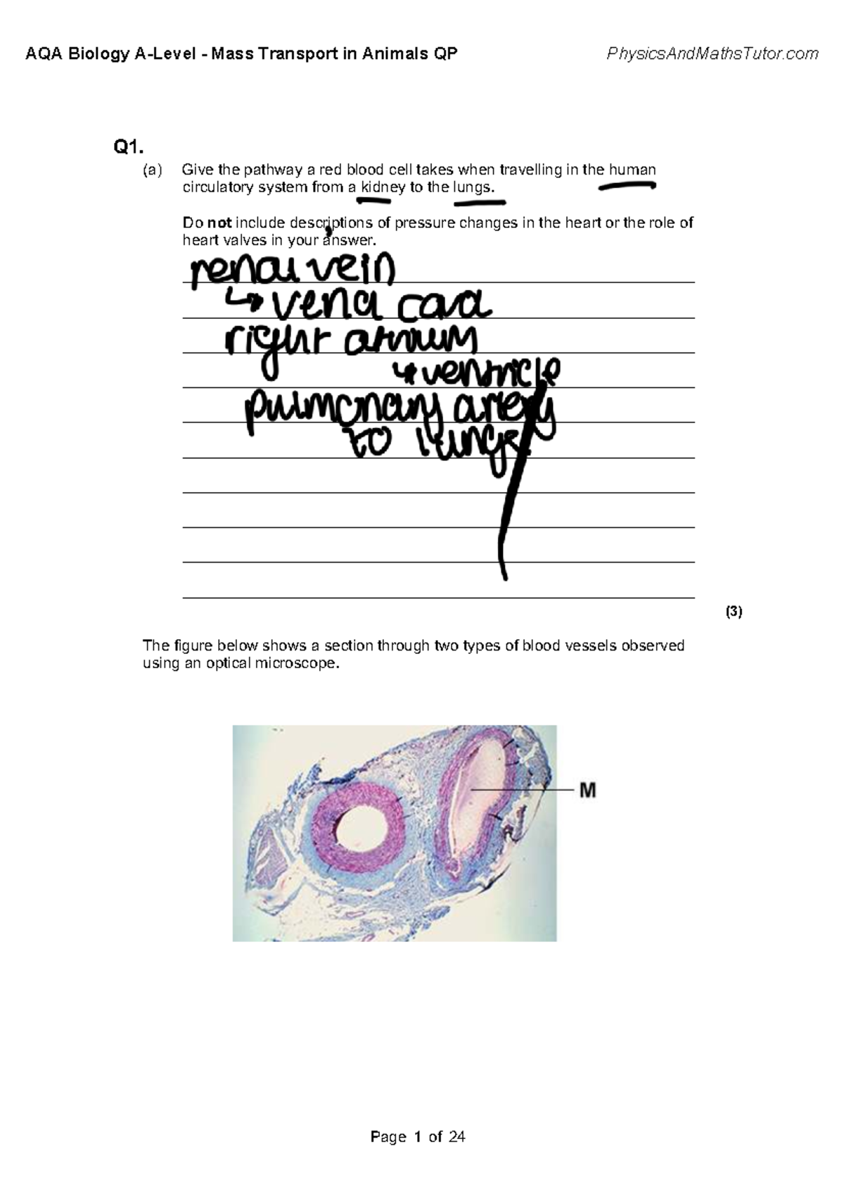 AQA Biology 3.4 Mass Transport in Animals QP - Exam Questions and ...