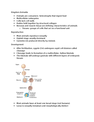 Fungi - notes - Unikonta Includes animals, fungi and some protists ...