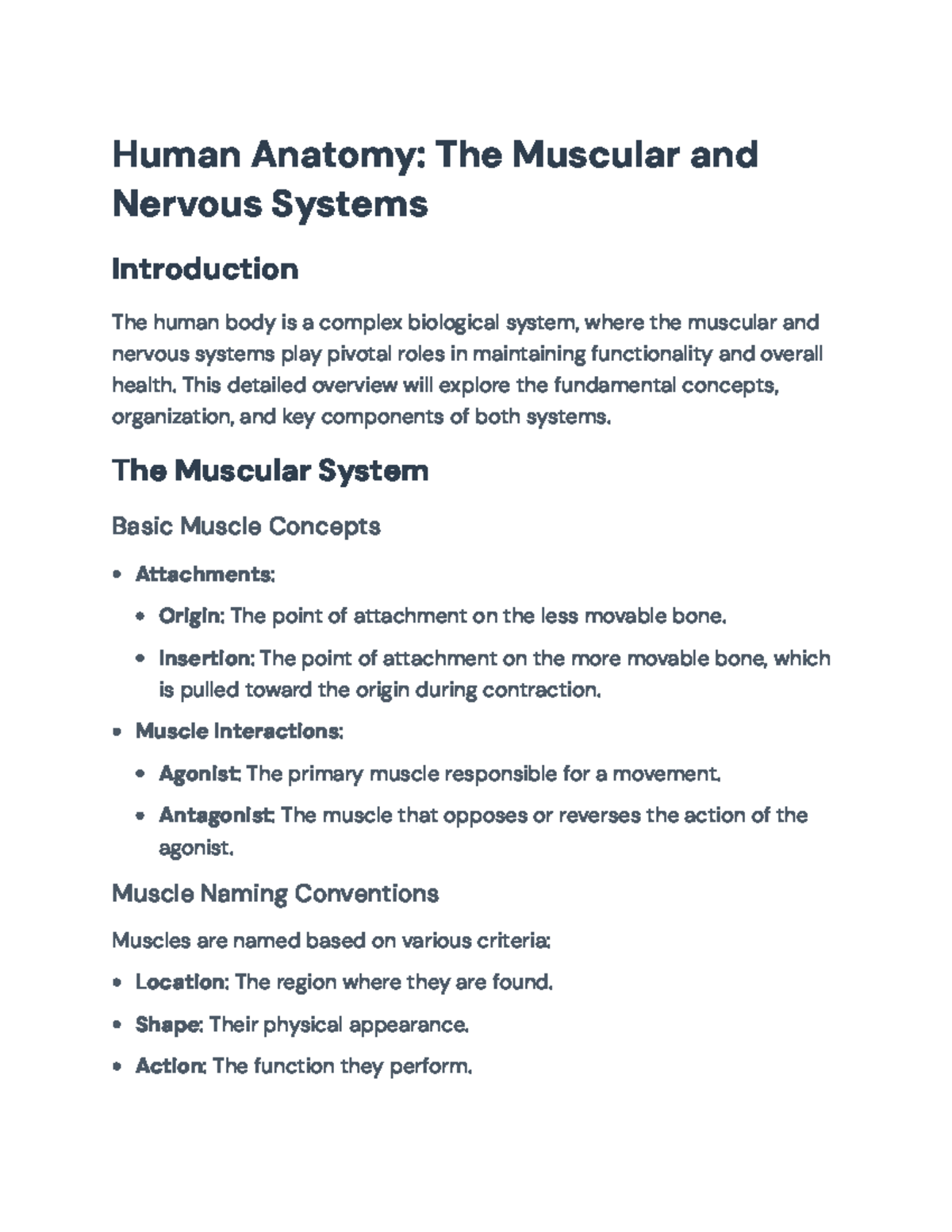 Muscular and Nervous Systems Overview: Concepts and Functions - Studocu