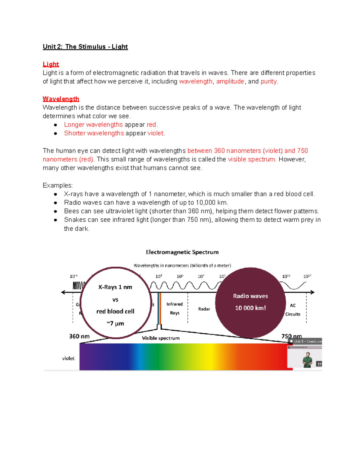 PSYCH 1XX3: Understanding Light and Eye Function in Vision - Studocu