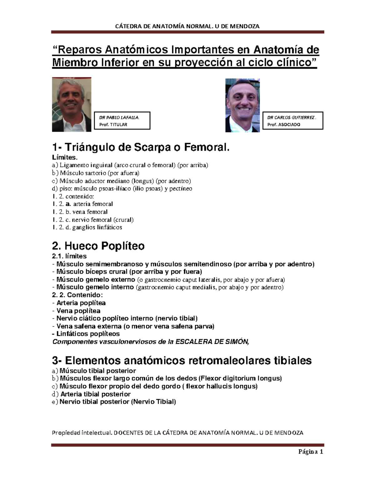 Reparos Anatómicos en el Miembro Inferior - Cátedra de Anatomía Normal ...