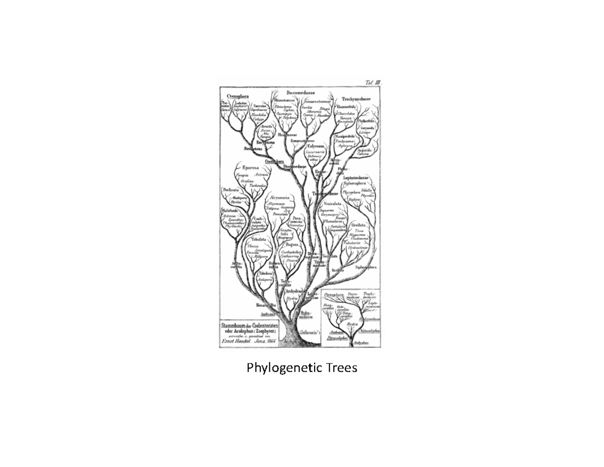 Week 2 Video Slides - this is a clear explanation of evolution, plant ...