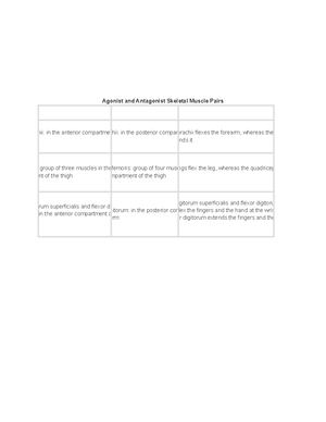 EOCR- Exercise 38 - for class - Review Sheet: Exercise 38 Anatomy of ...
