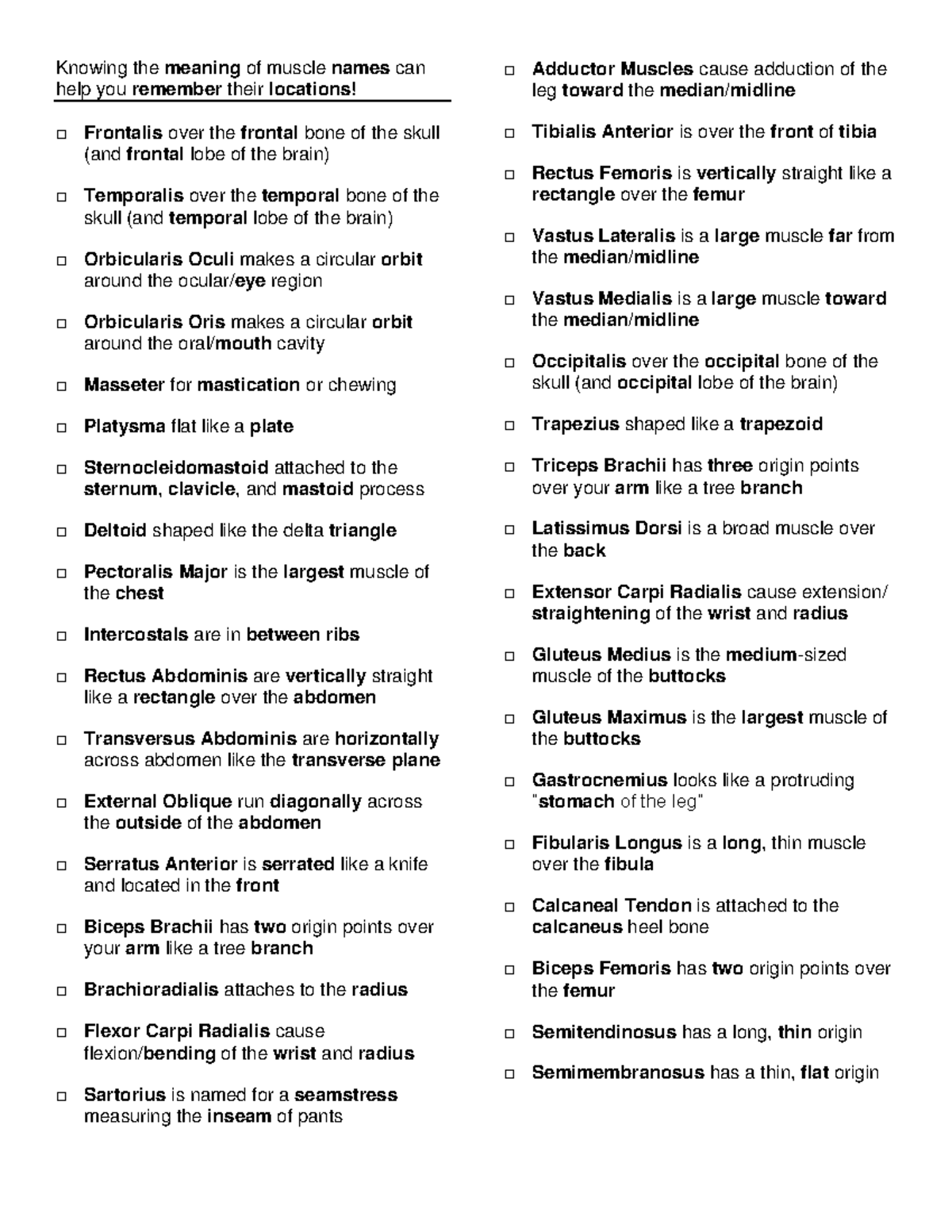Muscle Name Word Associations: Understanding Locations & Functions ...