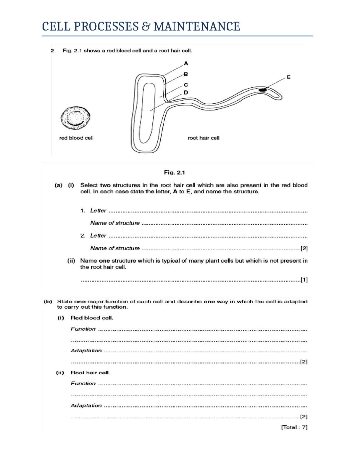 Quizes-Cell Processes Final-SDA - CELL PROCESSES & MAINTENANCE 5 Fig 5 ...