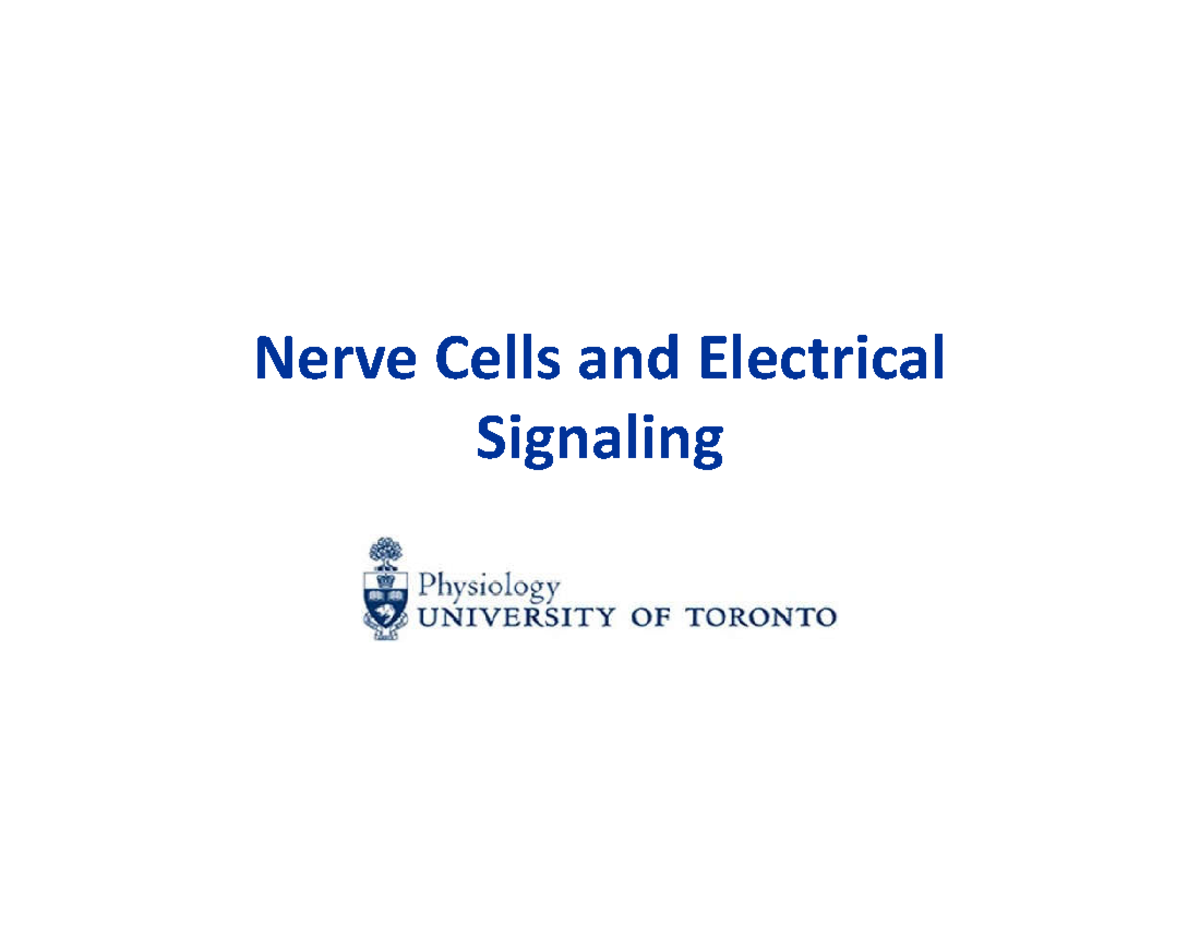 Nerve Cells and Electrical Signaling: CNS & PNS Overview - Studocu