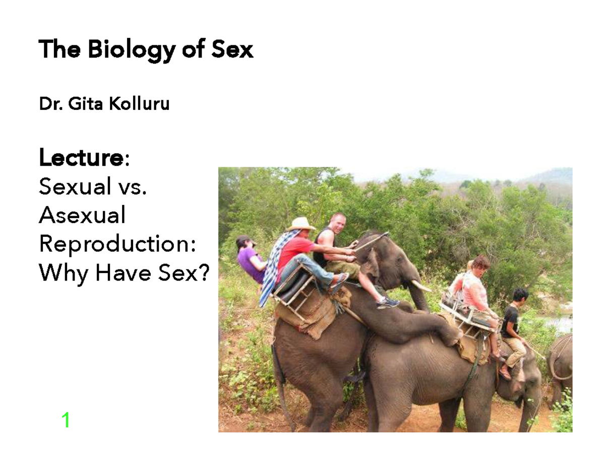 Lecture 5: Asexual vs. Sexual Reproduction (BIO 101) - Understanding ...
