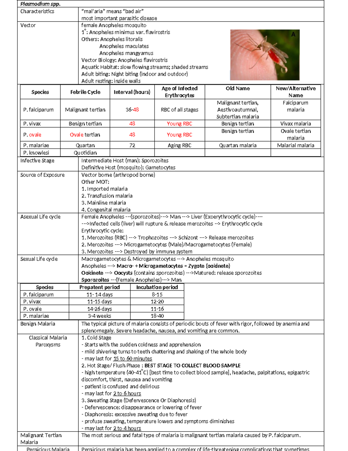 Sporozoa - Midterm Exam Study Guide on Plasmodium Spp. - Studocu
