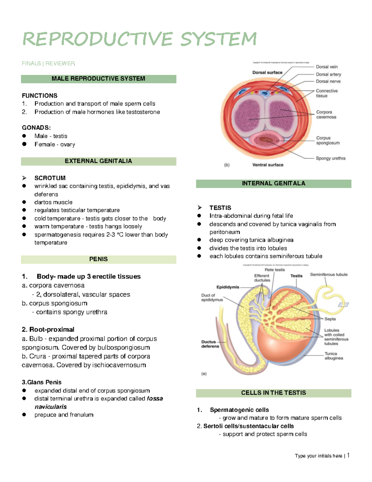 Reproductive System Finals Reviewer (Rprdctv-FNLS) - Studocu