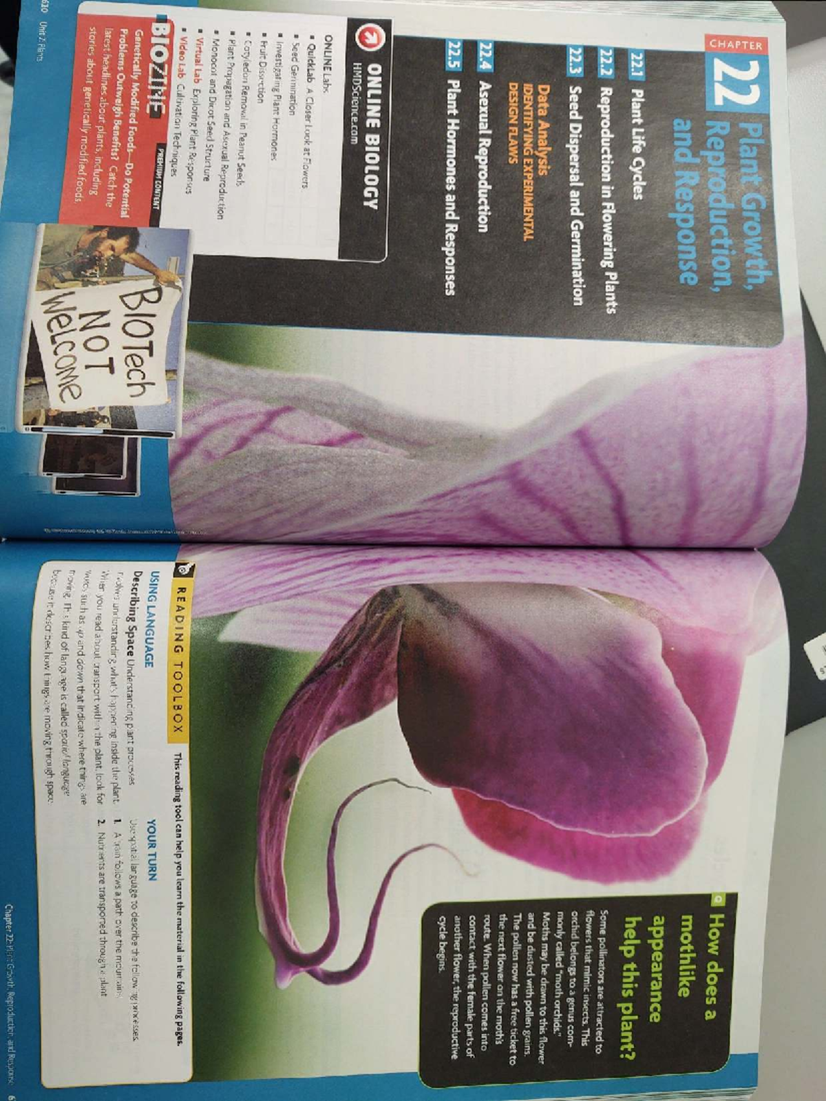 Holt McDougal Biology: Chapter 22 Plant Growth, Reproduction, and ...