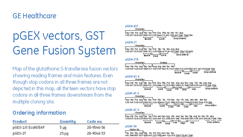 PGEX Vectors Map: Overview of GST Gene Fusion System Features - Studocu