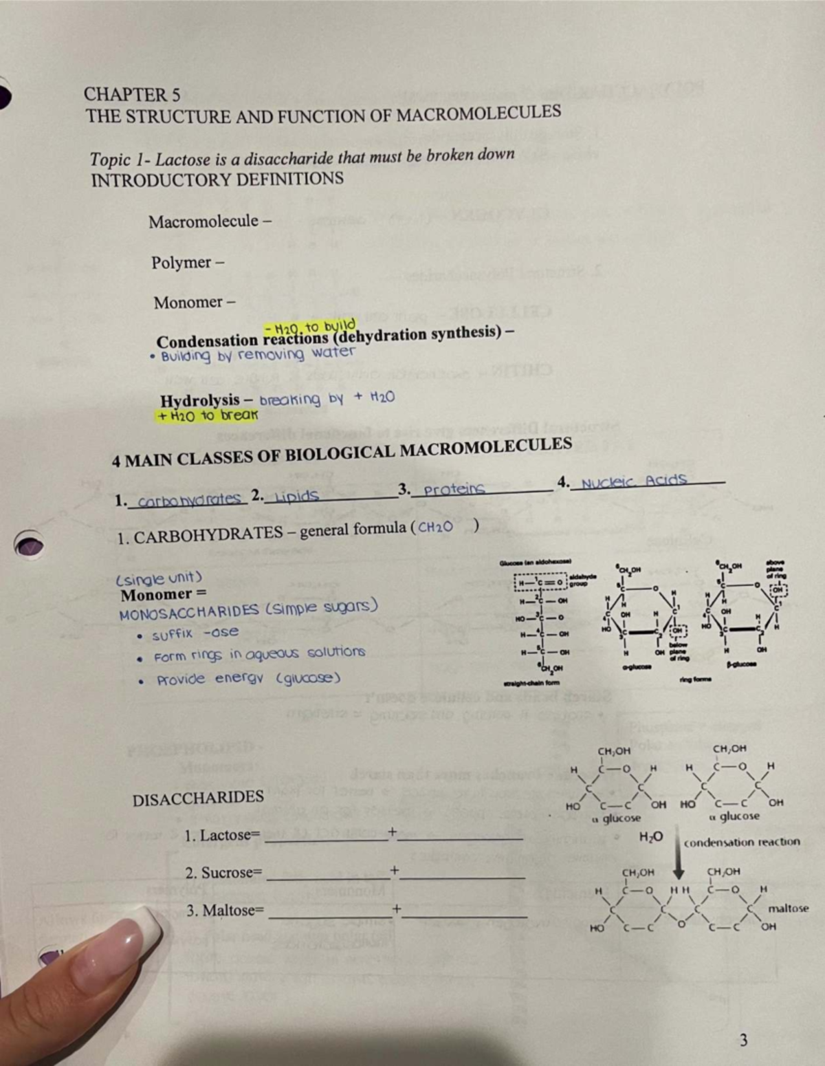 FINAL EXAM PREP: CHAPTER 5 - STRUCTURE & FUNCTION OF MACROMOLECULES ...
