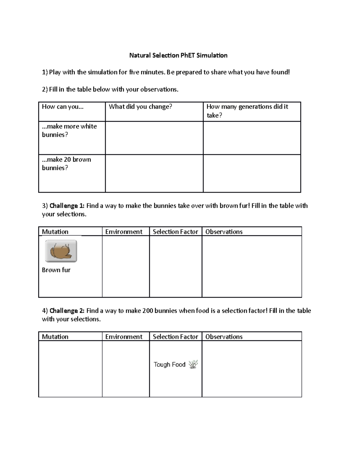 Natural Selection Ph ET Simulation - Natural Selection PhET Simulation ...