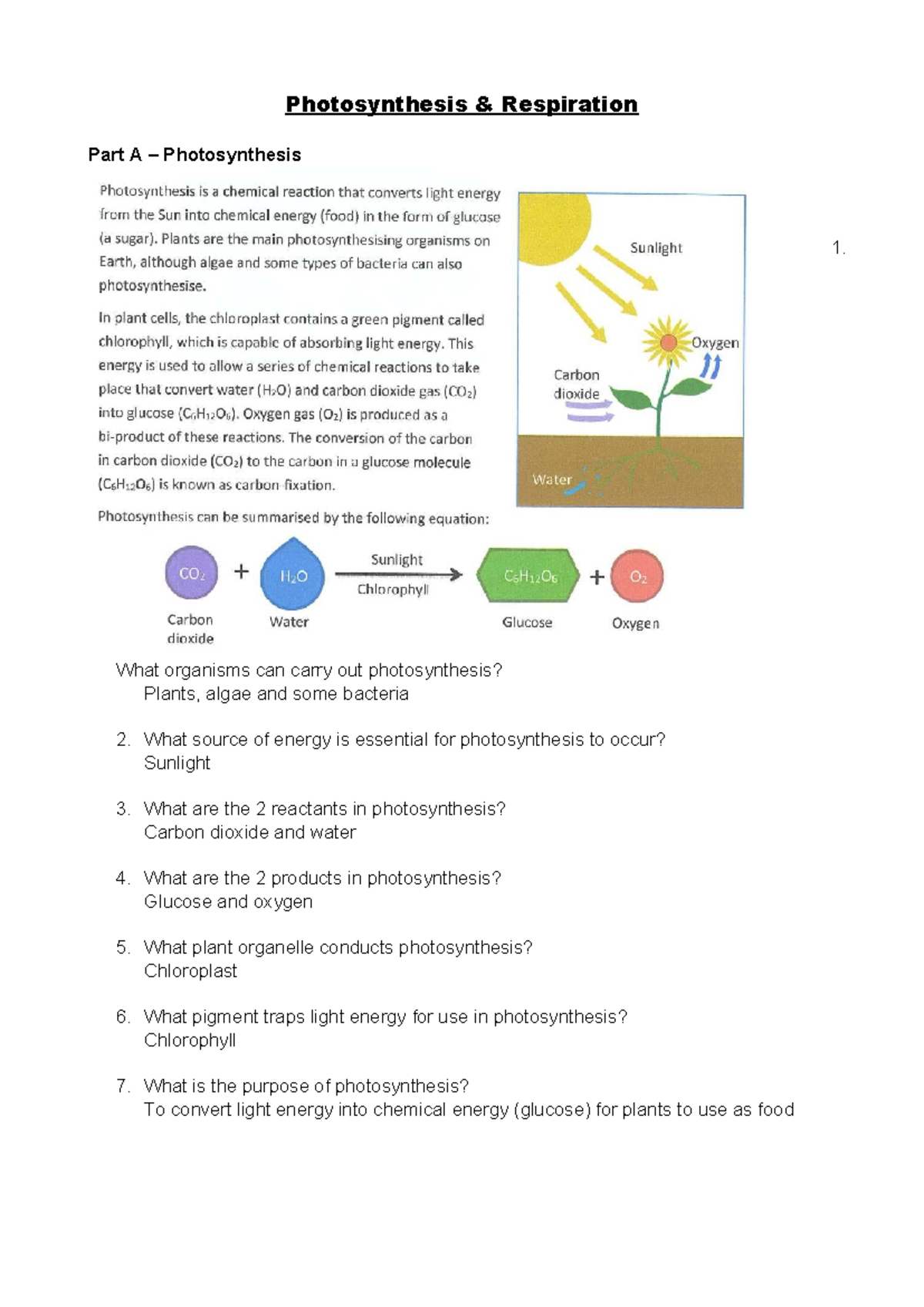 Photosynthesis & Respiration Study Guide: Key Concepts & Processes ...