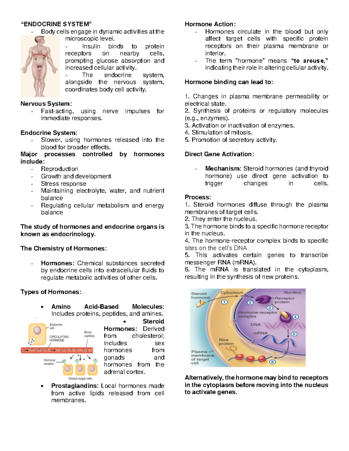 Endocrine System - ctto - “ENDOCRINE SYSTEM” Body cells engage in ...