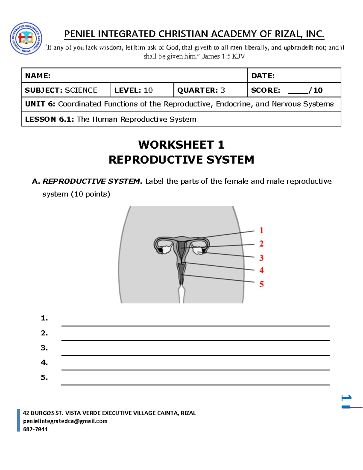 WS1Science 10.Unit 6.Lesson 6.1: Understanding the Human Reproductive ...