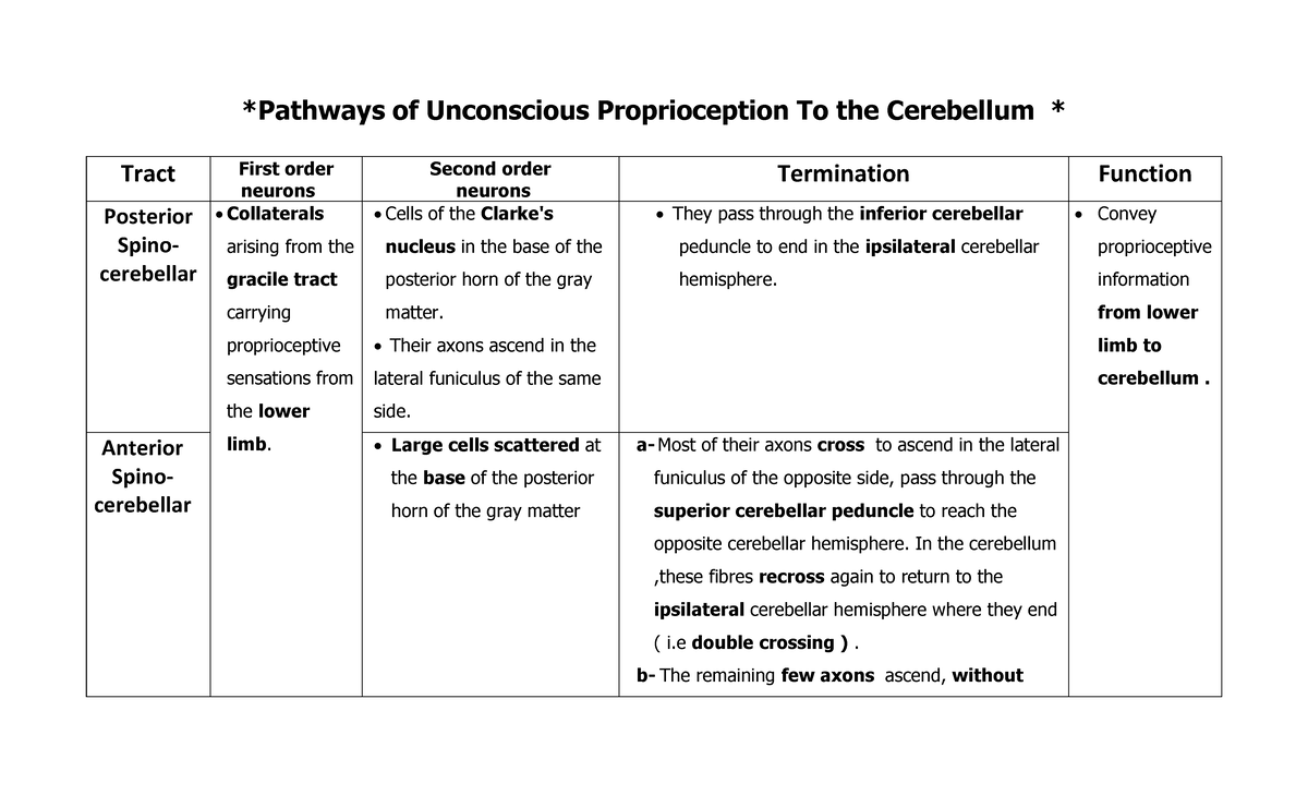 Summary of Proprioception Pathways to the Cerebellum - Studocu