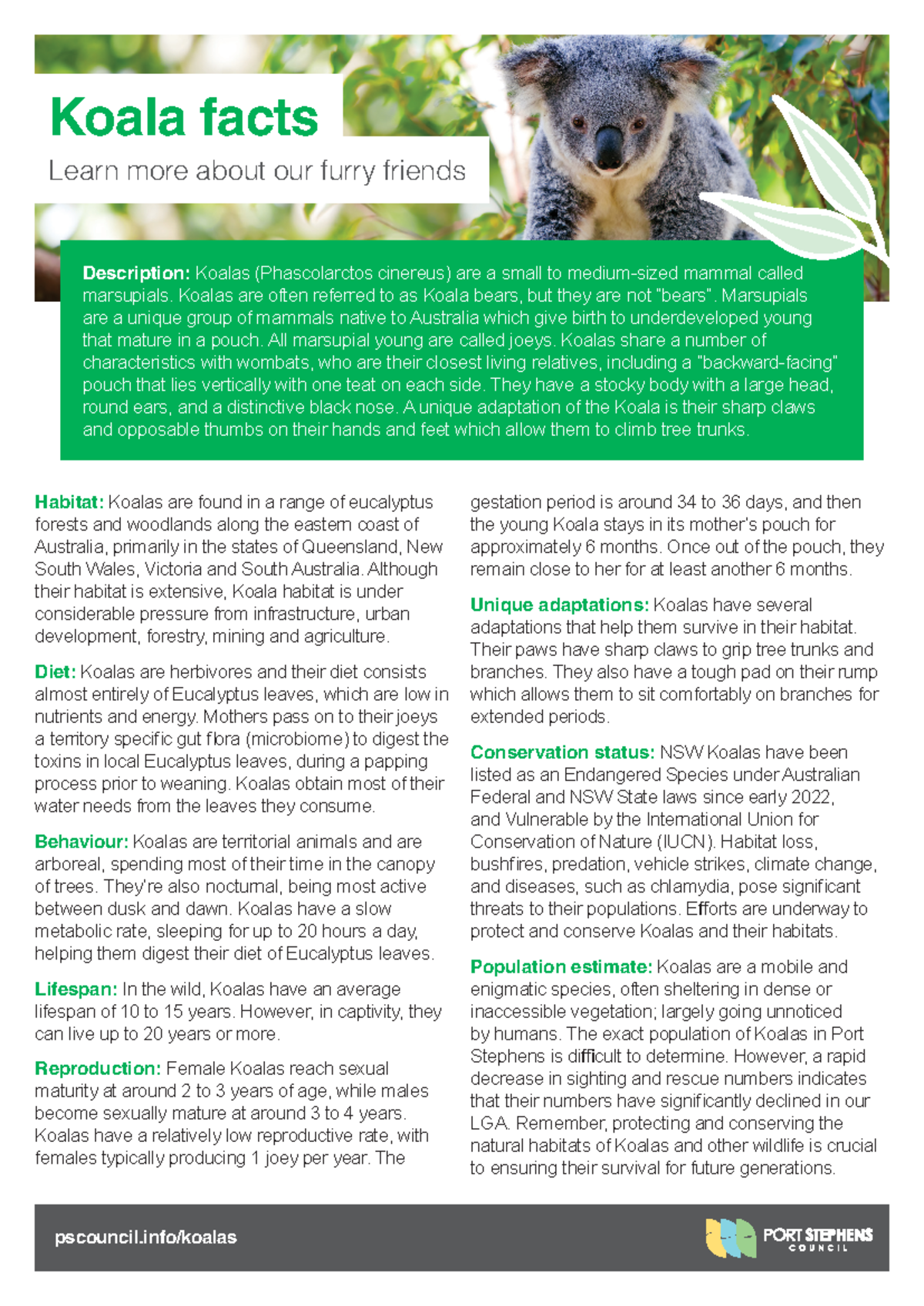 Koala Fact Sheet Facts 2023 - pscouncil/koalas Learn more about our ...