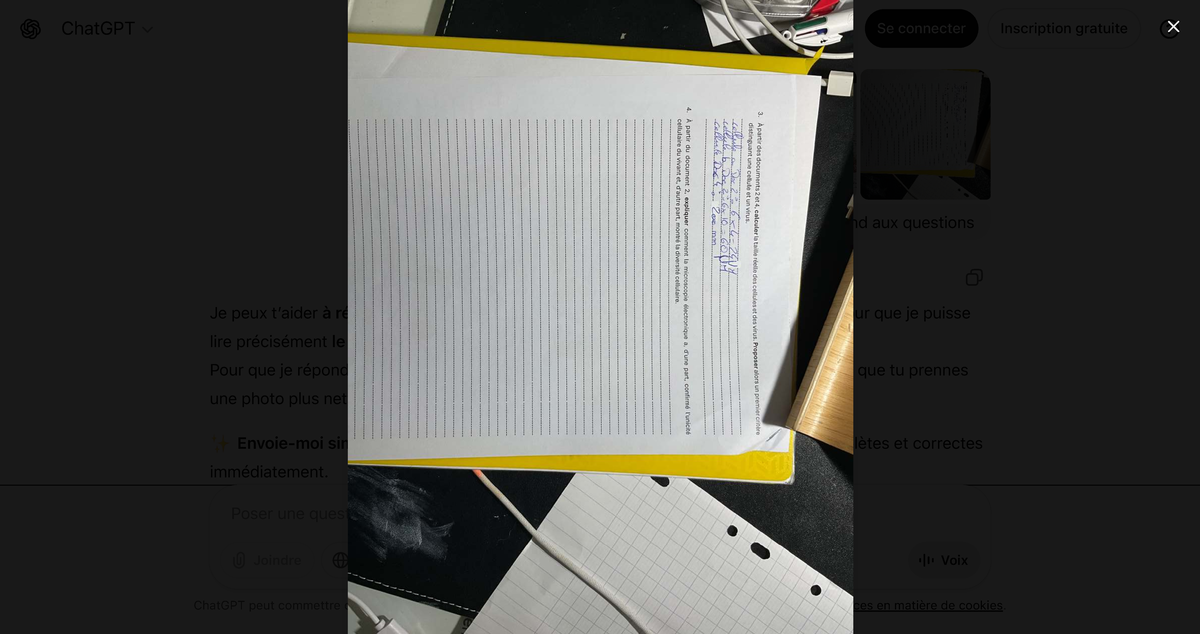 Chat GPT 2 - Devoir Maison: Questions et Réponses - Studocu