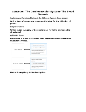 [Solved] Which of the following blood vessels carry oxygenated blood - Anatomy & Physiology III ...