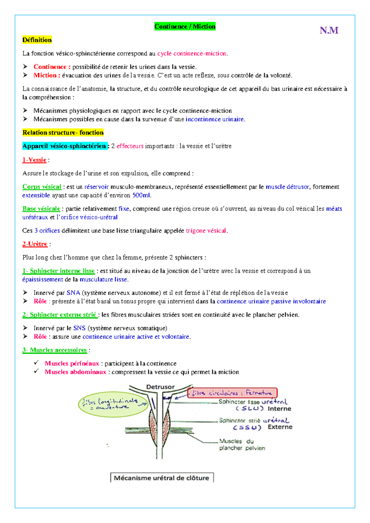 Mystidia - Contenance et Miction : Mécanismes et Contrôle Urinaire ...