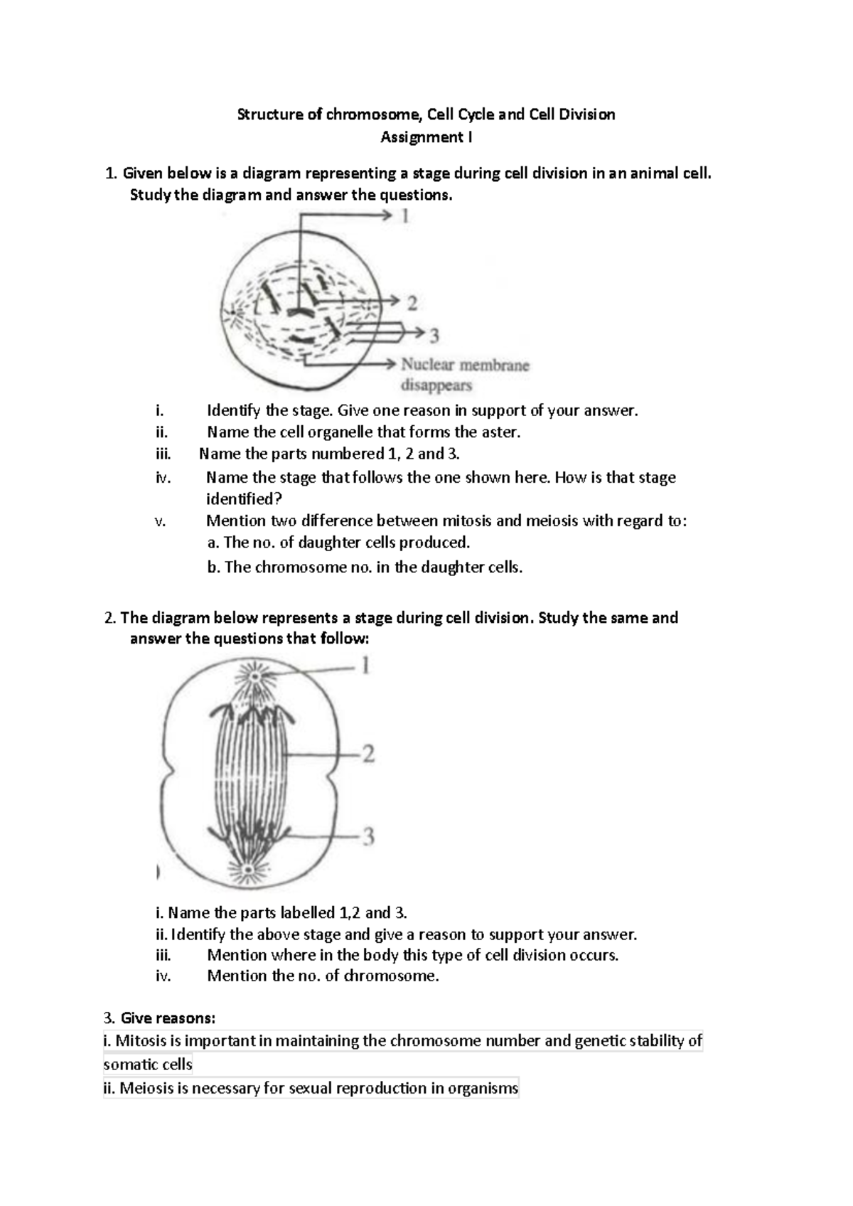 Cell Cycle & Division: Chromosome Structure Assignment I - Studocu